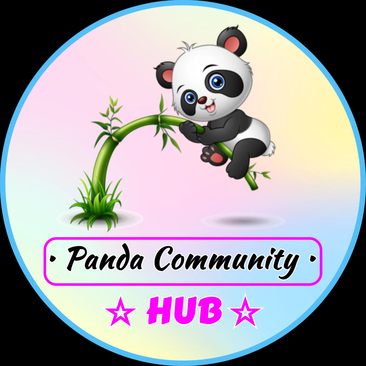 Panda Community Hub